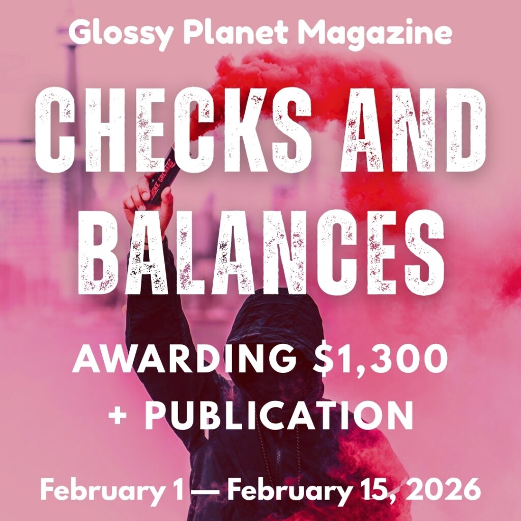Checks and Balances - February 2026 Writing Challenge
